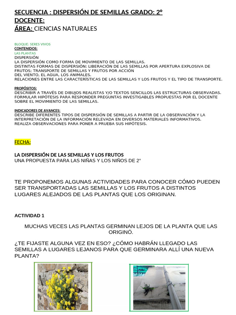 Actividades sobre Dispersión de Semillas 2° | PDF | Semilla | Técnicas ...
