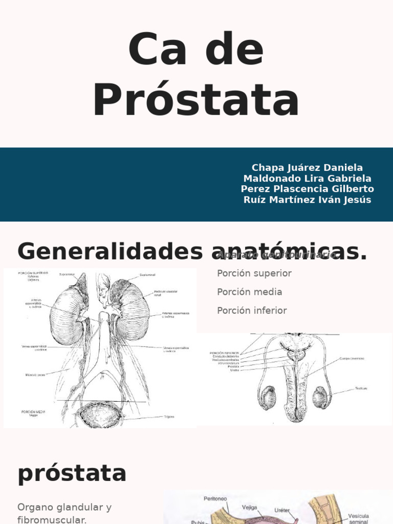 CA Próstata | PDF | Próstata | Cáncer