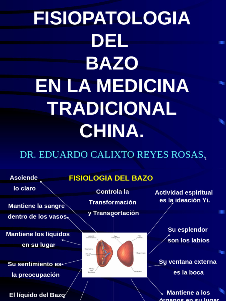 Fisiopatología del Bazo en Medicina China | PDF | Digestión | Diarrea