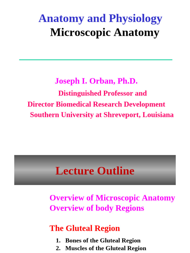 Microscopic Anatomy - Ovreview of Tissues | PDF | Connective Tissue ...