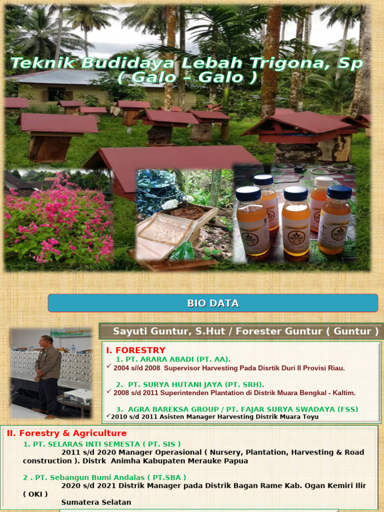 SAYUTI GUNTUR Teknik Budidaya Trigona | PDF