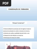 Processo de Produção de Feno | PDF | Feno | Agricultura