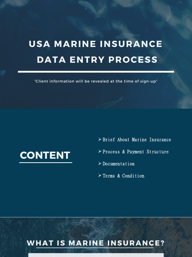 Marine Data Entry Process - Usa | PDF