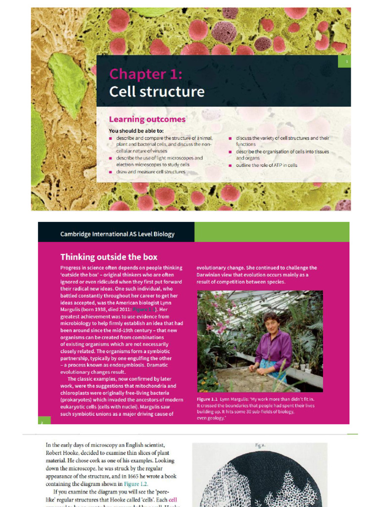 Cell Structure Lesson - As-A Level - Edited | PDF