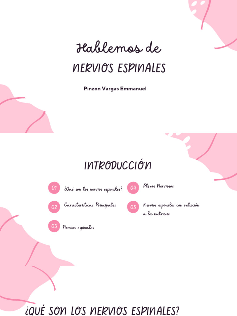Nervios Espinales PDF | PDF | Nervio | Médula espinal