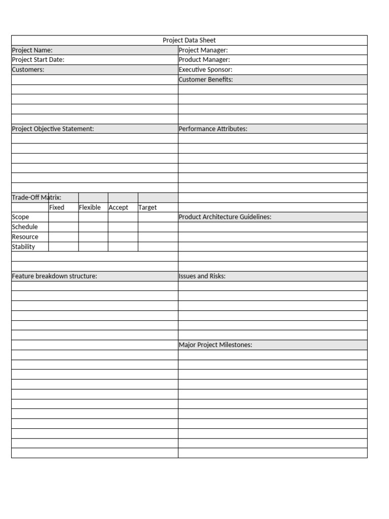 Project Data Sheet Template | PDF