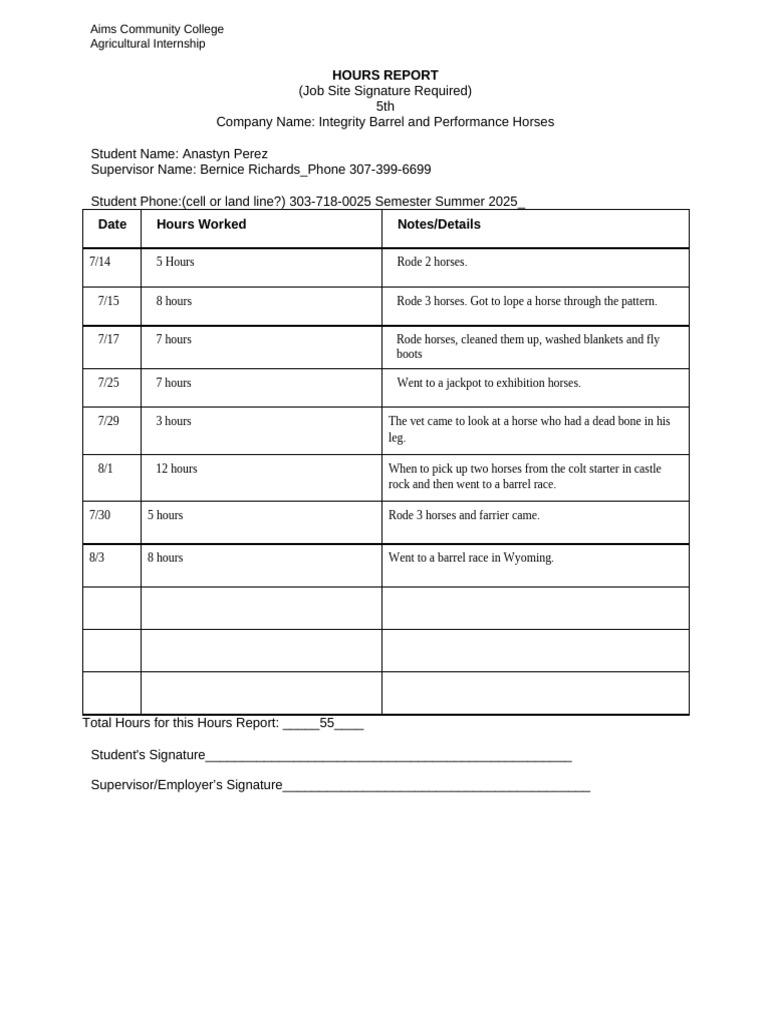 Internship Hours Report 5th 45 Hours | PDF