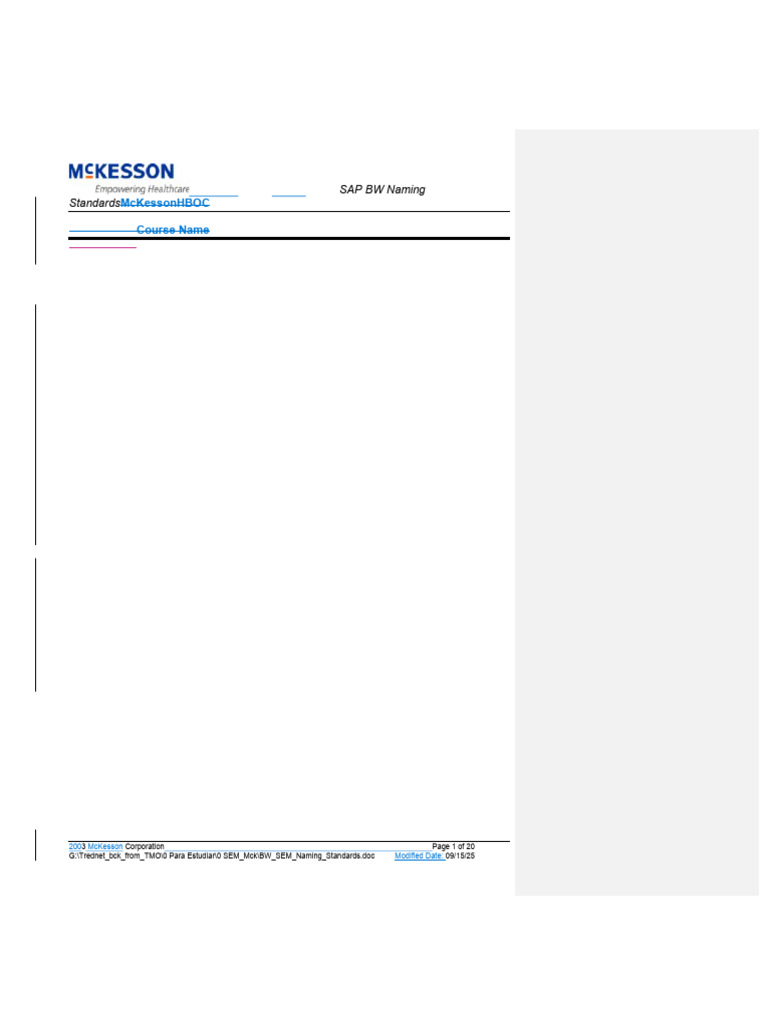 SAP BW Naming Standards Guide | PDF | Procurement | Business