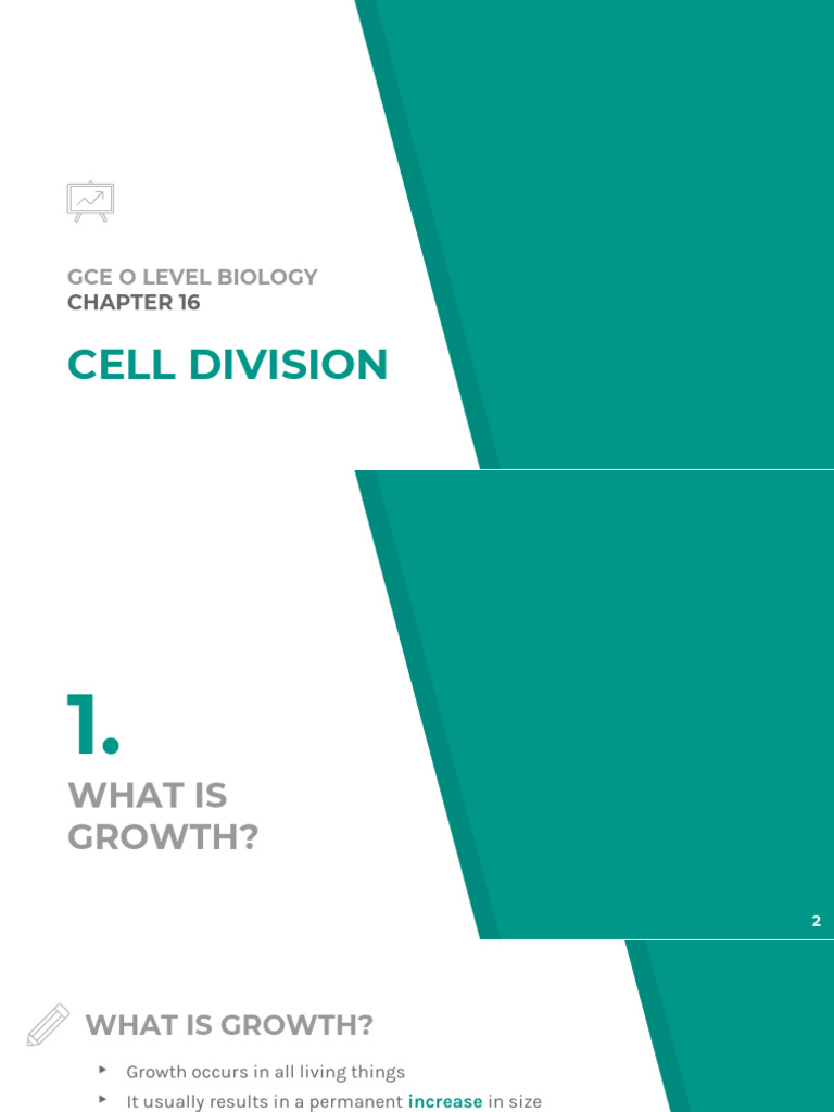 Cell Division: Mitosis and Meiosis Explained | PDF | Meiosis | Mitosis
