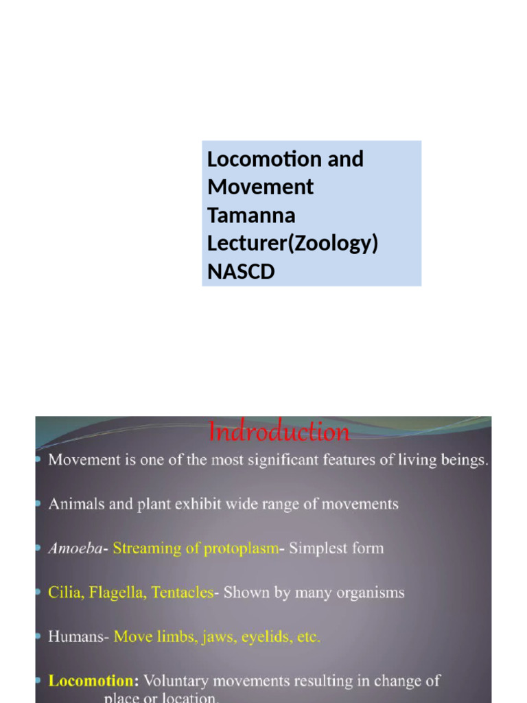 Locomotion | PDF