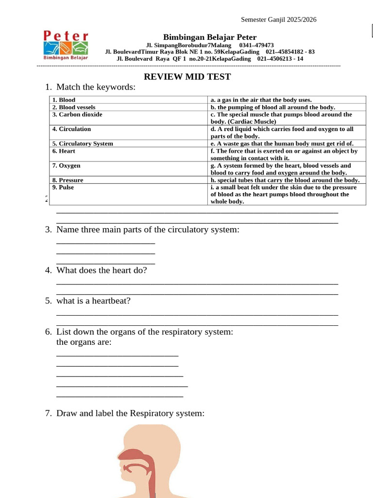 Human Body Grade 6 Science Mid Test | PDF | Circulatory System ...