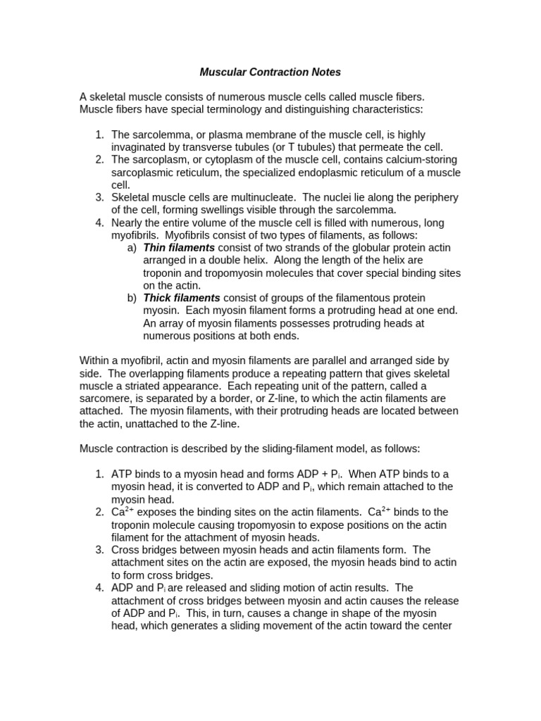 Muscular Contraction Notes | PDF | Muscle Contraction | Skeletal Muscle