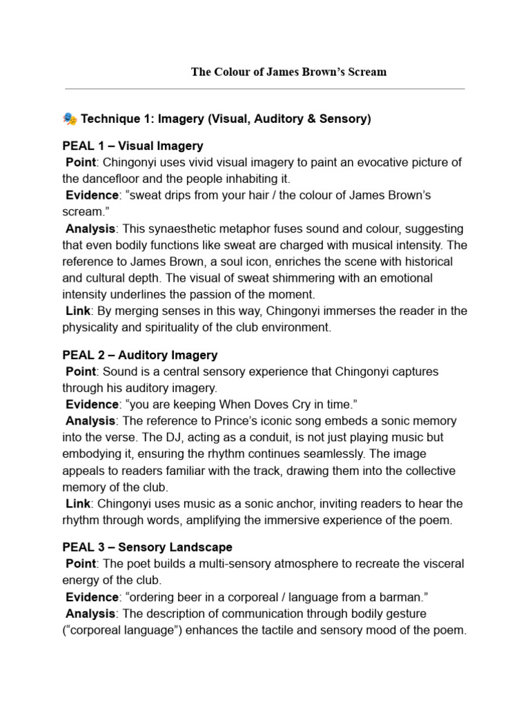 Analysis of "The Colour of James Brown's Scream" | PDF | Poetry ...