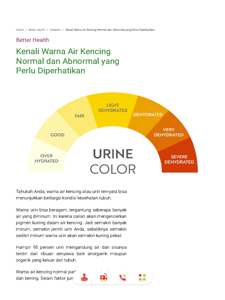 Warna Air Kencing Normal Dan Abnormal, Apa Perbedaannya | PDF