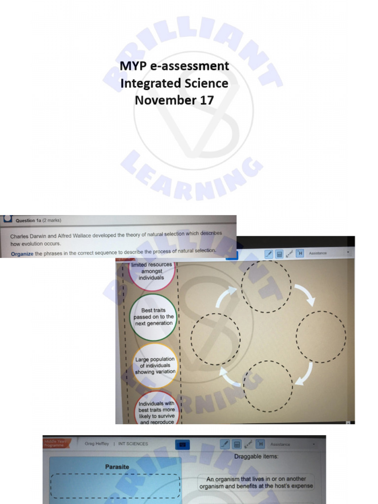 MYP Integrated Science E-Assessment Guide | PDF