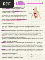 LADME | PDF | Farmacocinética | Excreción