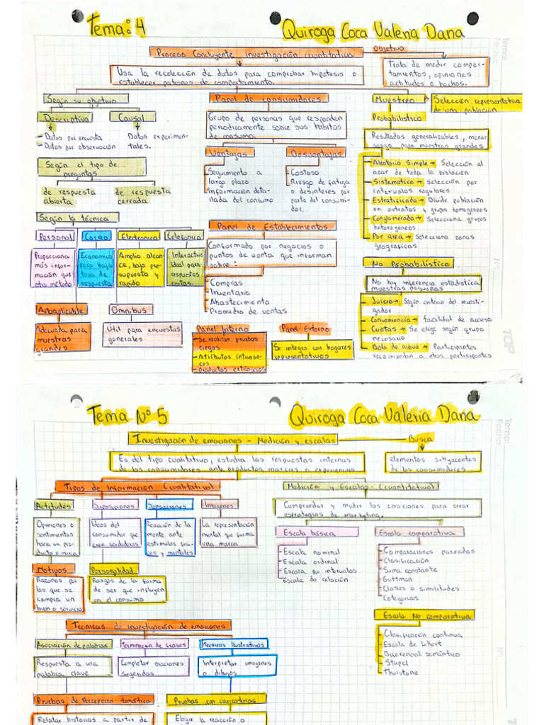 Mapa Conceptual Tema 4 y 5 | PDF