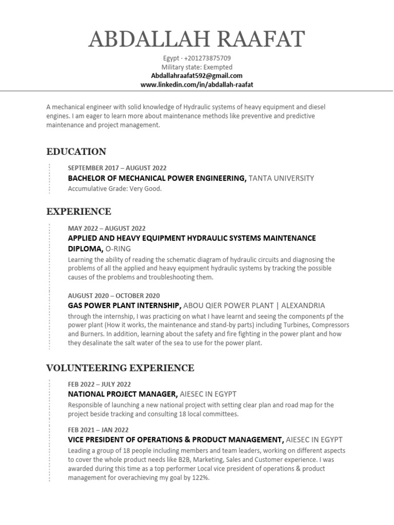 Abdallah Raafat Personal Resume | PDF