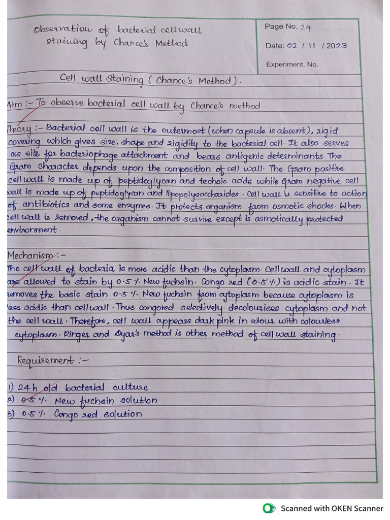 Cell Wall Staining | PDF