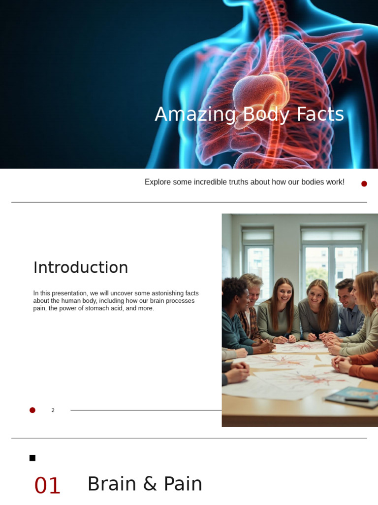Amazing Body Facts | PDF