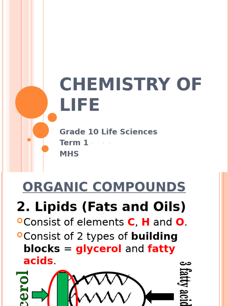 1b.chemistry of Life Lesson 2 | PDF