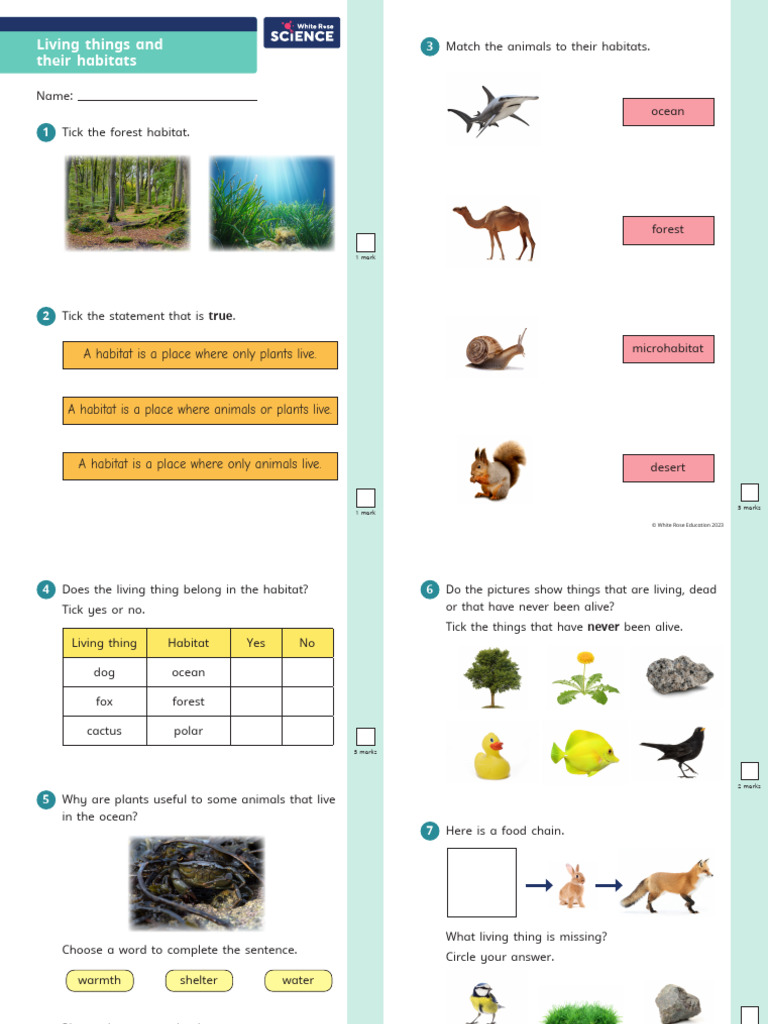 Y2 Spring Assessment Living Things and Their Habitats | PDF | Habitat ...