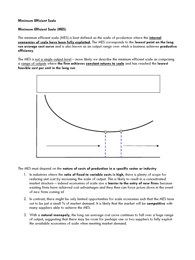 Minimum Efficient Scale | PDF