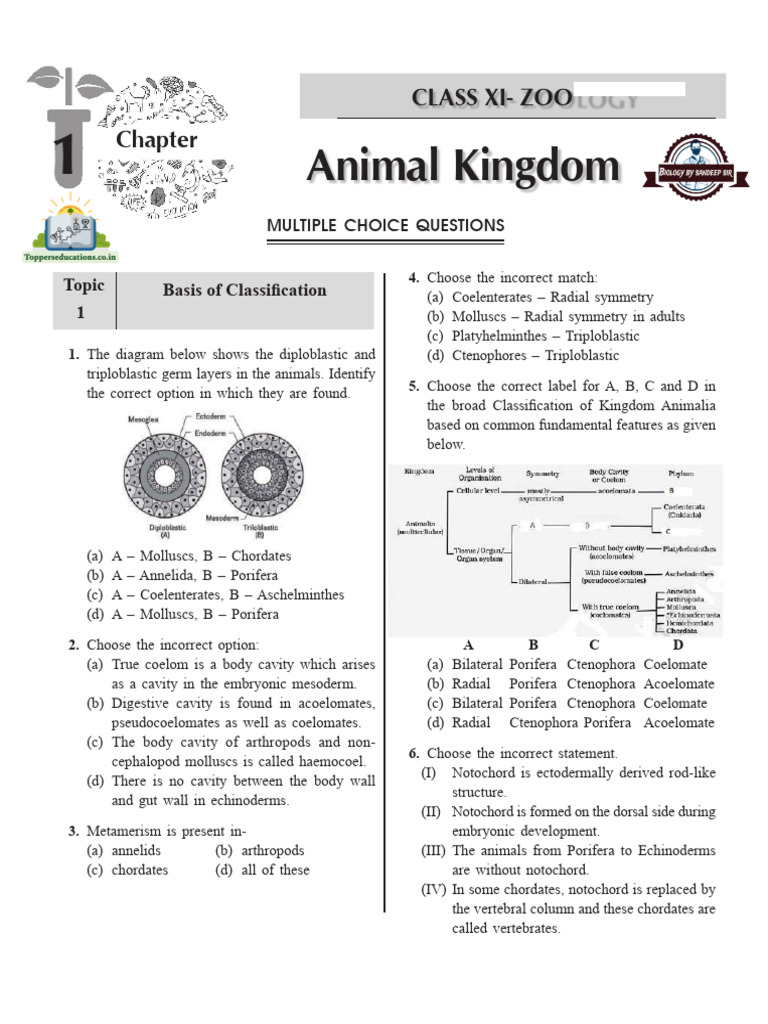 Animal Kingdom Classification Quiz | PDF | Sponge | Vertebrates