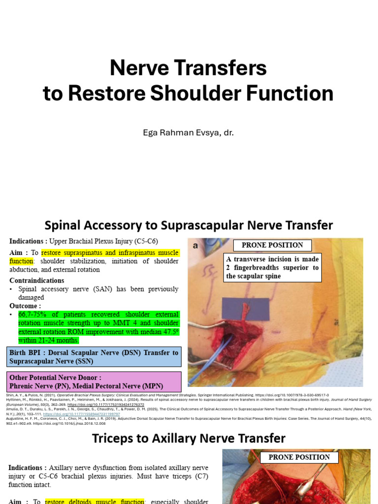 Nerve Transfers To Restore Shoulder Function - EGA | PDF | Shoulder ...