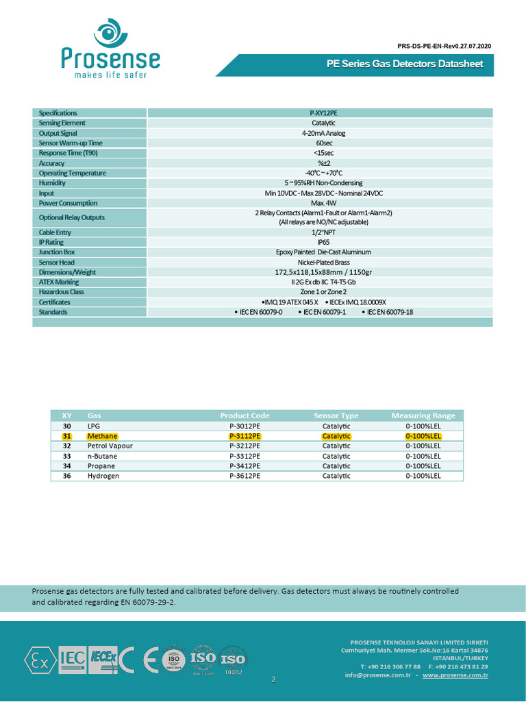 PE Series Gas Detectors Specifications | PDF | Sensor | Measuring ...