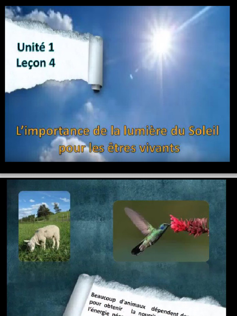 La Lumiere Et Les Etres Vivants | PDF