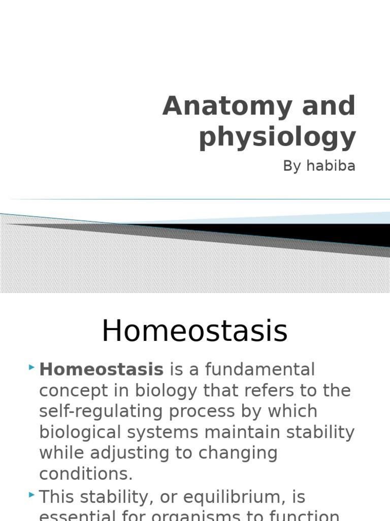 Understanding Homeostasis in Biology | PDF | Endoplasmic Reticulum ...