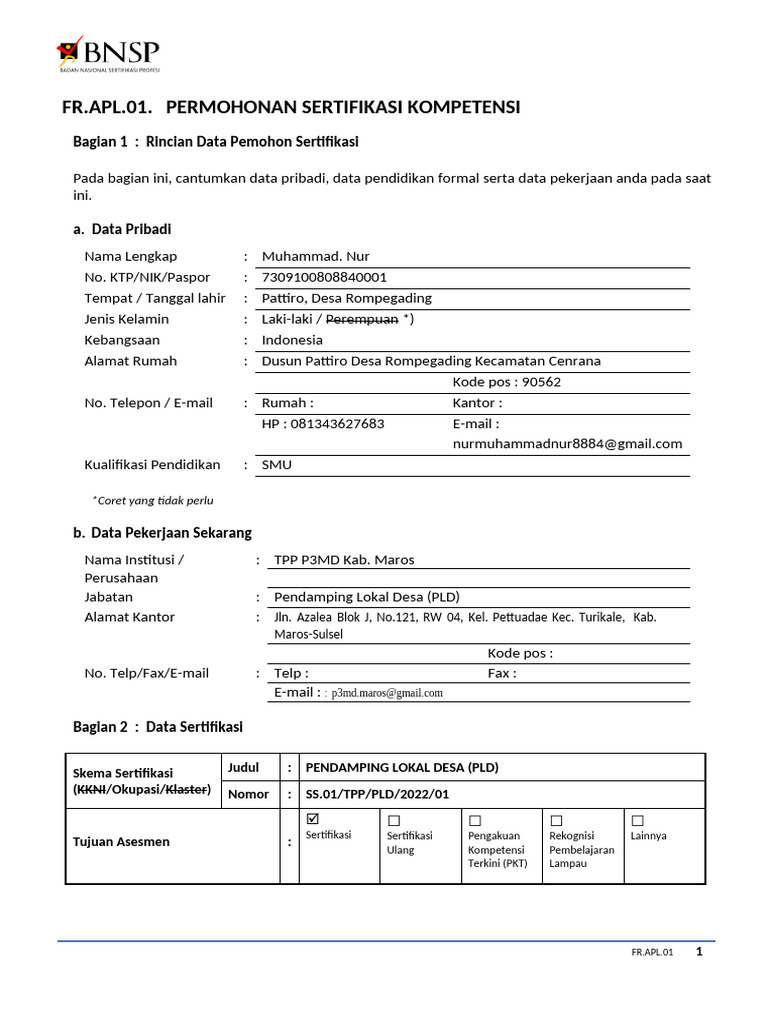 Form FR - Apl.01. PLD | PDF