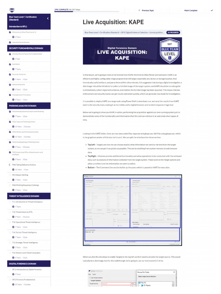 Live Acquisition KAPE | PDF