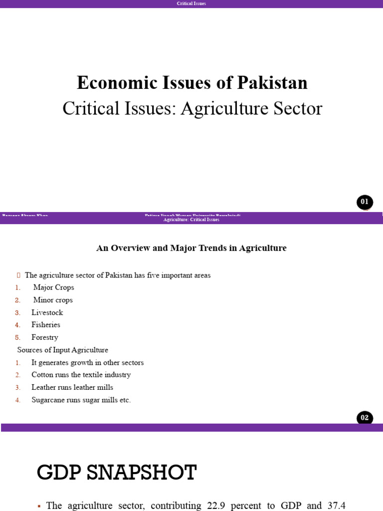 Critical Agricultural Issues in Pakistan | PDF | Cost Of Living | Taxes