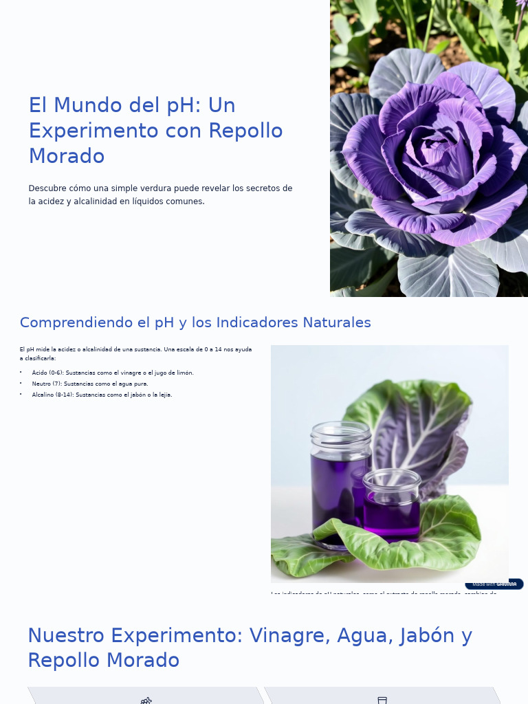 Experimento de pH con Repollo Morado | PDF