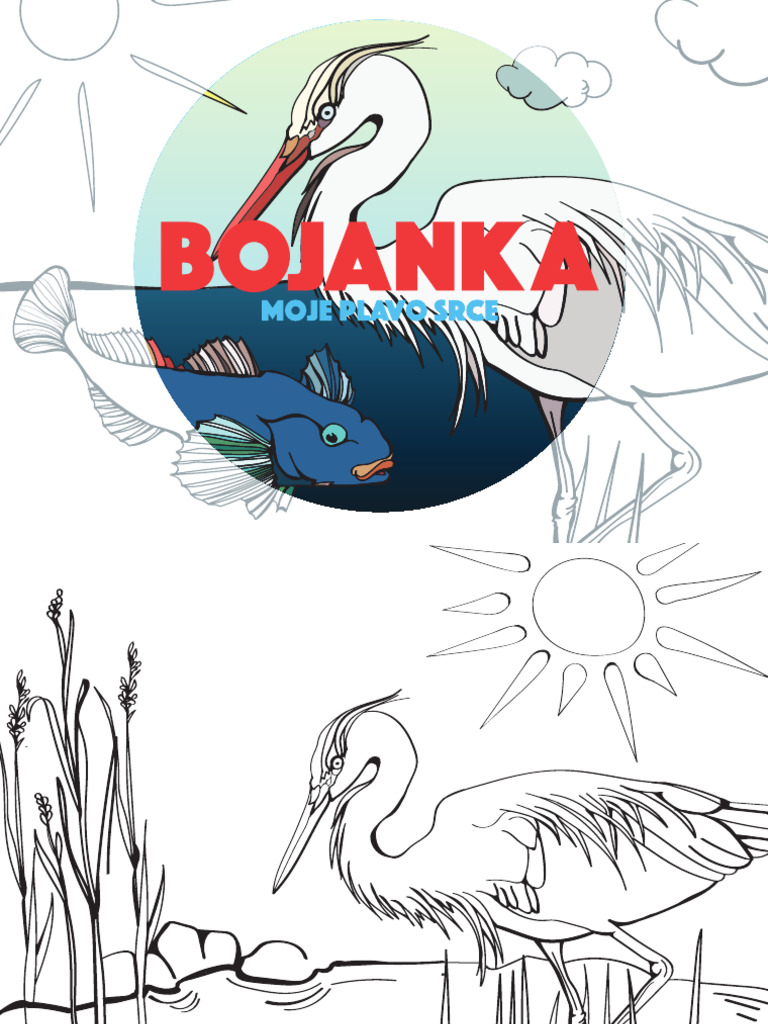 Bojank 22 | PDF