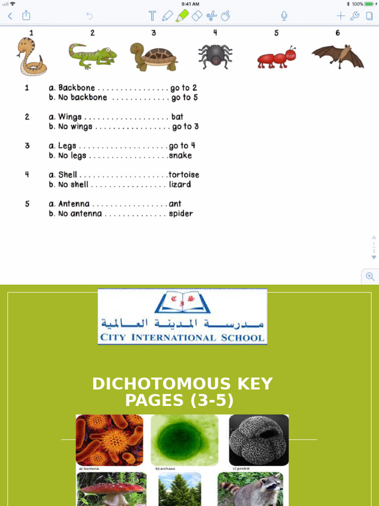 Week 2 Lesson 3 Unit 1 Dichotomous Key | PDF
