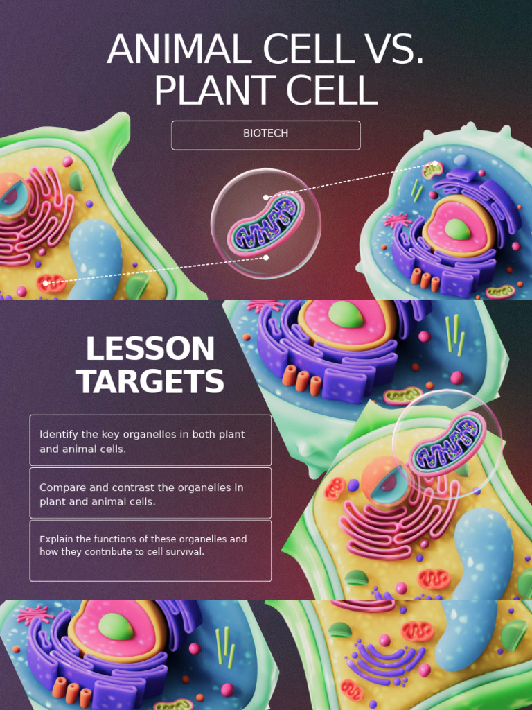 Animal Vs Plant Cell | PDF | Cell (Biology) | Organelle