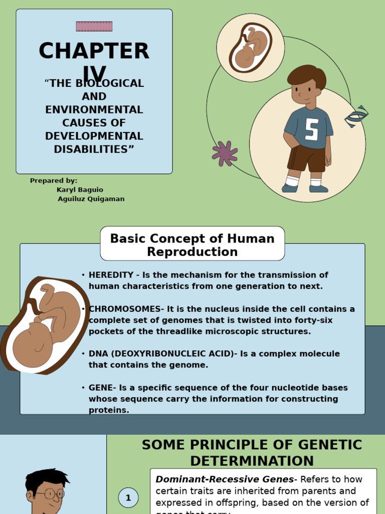 From Birth To Old Age With Human Life Cycle Activity Education ...
