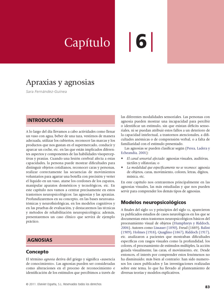 Cap Tulo 6 - Apraxias y Agnosias - 2011 - Rehabilitaci N Neuropsicol Gica | PDF | Lóbulo ...