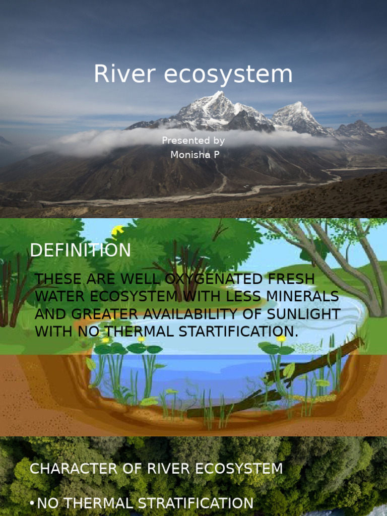 Understanding River Ecosystems | PDF