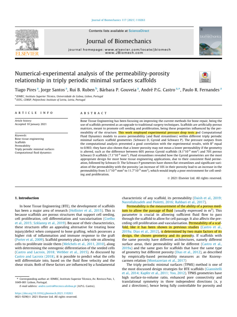 Permeability in Triply Periodic Scaffolds | PDF | Tissue Engineering ...