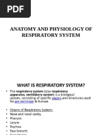 Anatomy and Physiology of Respiratory System Powerpoint | PDF