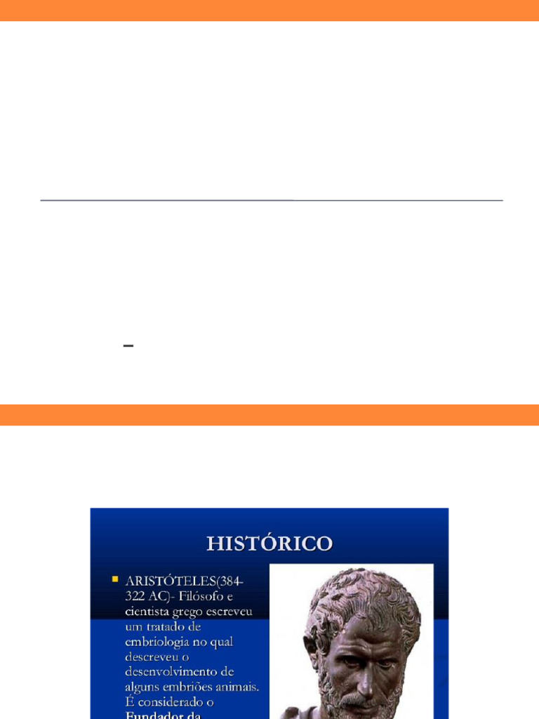 ETAPAS DA EMBRIOGENESE I | PDF | Embrião | Placenta