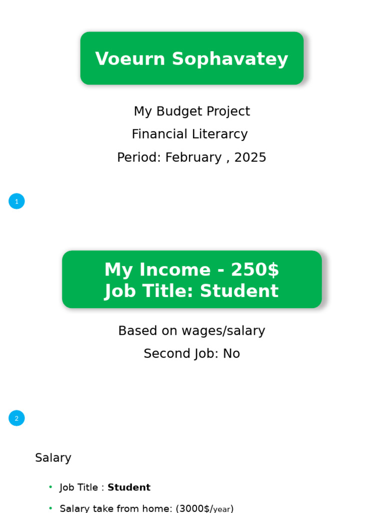(Vattey) Financial Literacy Project | PDF