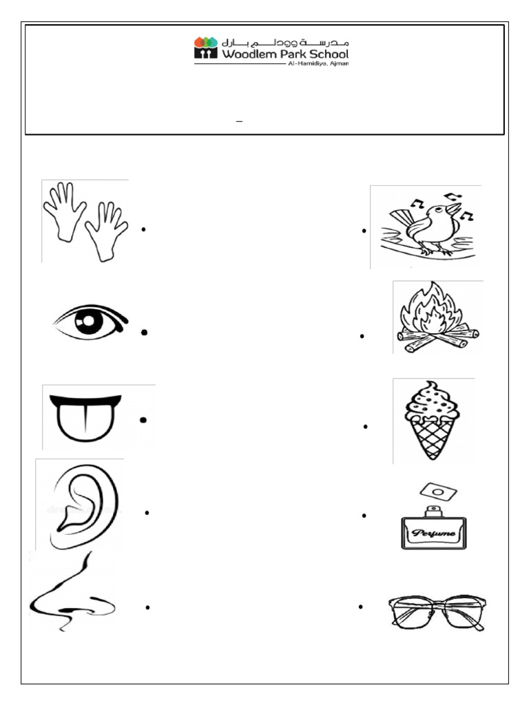 KG2 EVS Term 1 Practice Sheet | PDF