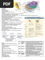 Science Olympiad: Forensics Note Sheet | PDF | Fingerprint | Gel ...
