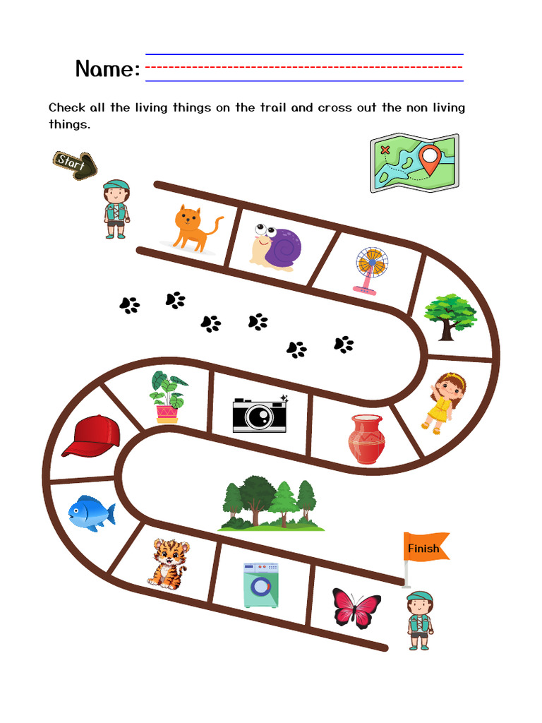 Colorful, Science, Living Things Worksheet PDF | PDF