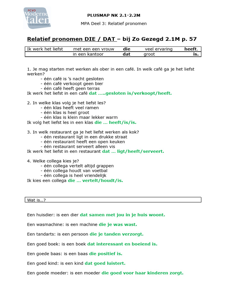 Plusmap NK - Relatief Pronomen (Correctie) | PDF